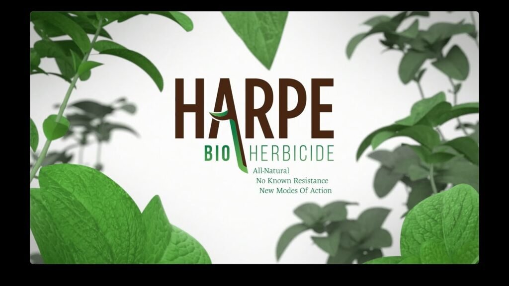 Harpe Bioherbicide, Broad Institute & Corteva collaborates for CRISPR ...