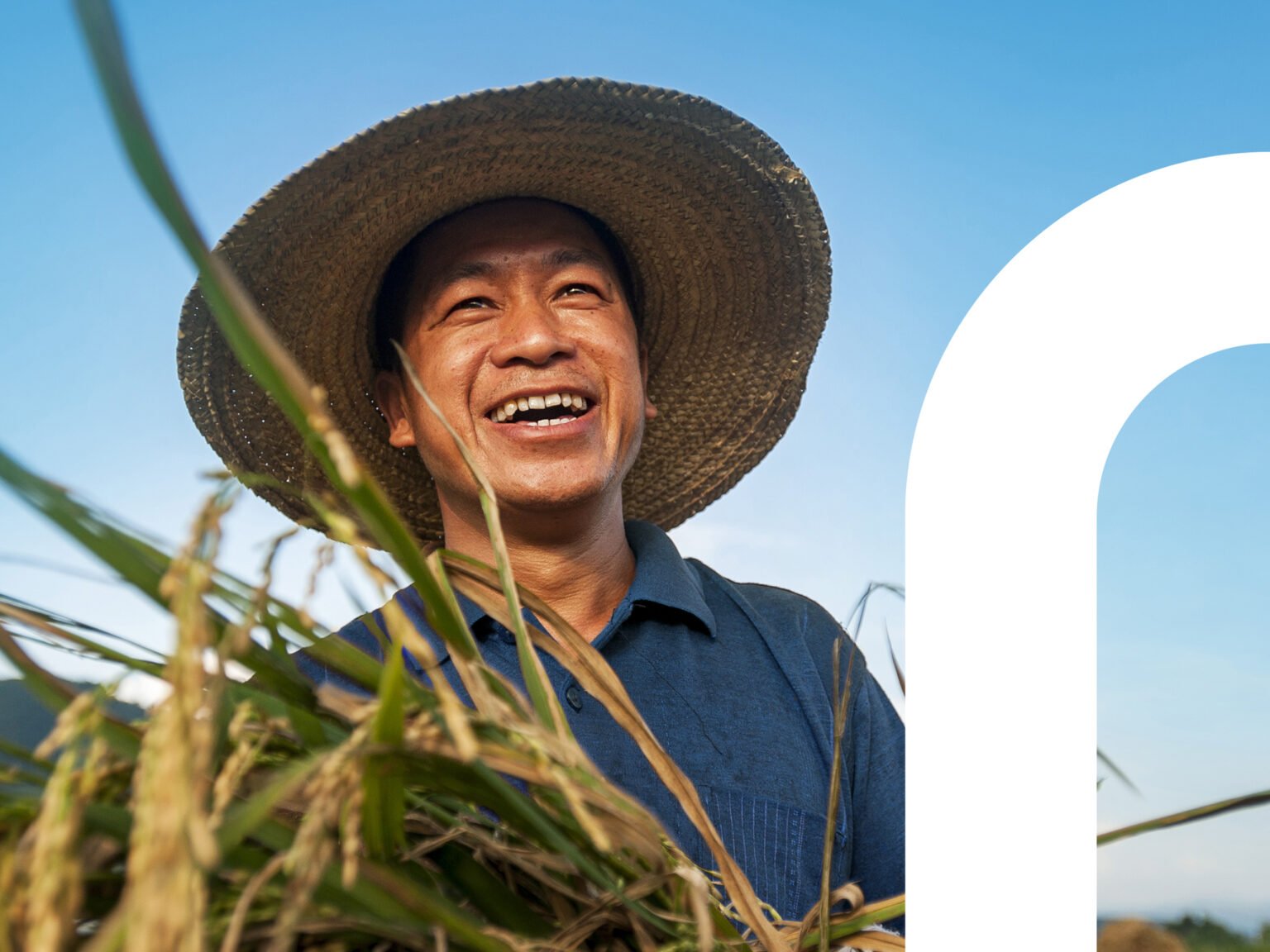 BASF to launch a novel rice insecticide Prexio® Active for key Asia ...