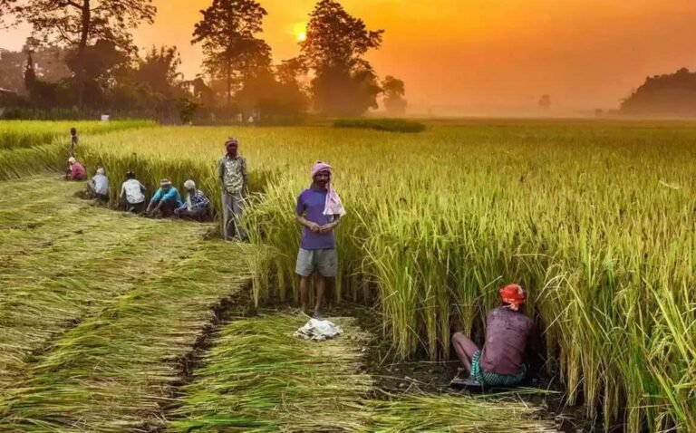 India’s ‘Cooperative Stack’ ambition: Can PACS become the digital ...