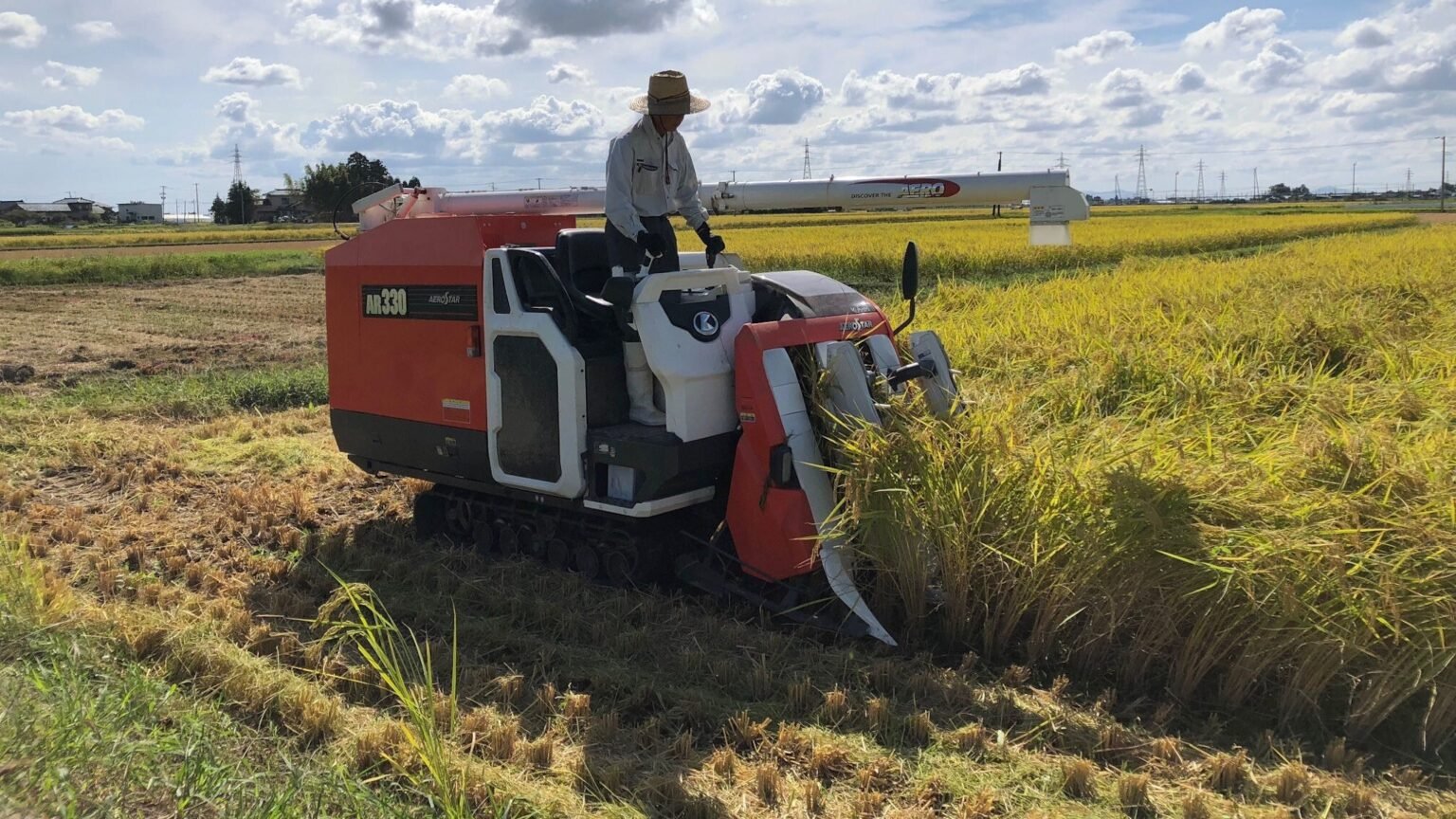 BASF bets on AI soil tech to guarantee rice yields in Japan - Agro ...