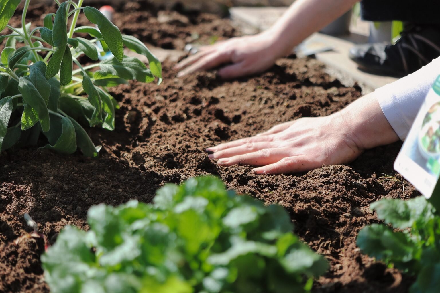 FAO-led projects to make agriculture resilient and sustainable in ...