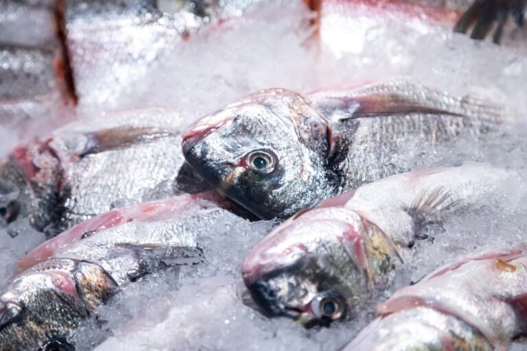 Tamil Nadu seafood sector set for growth as India flags off first CEPA ...